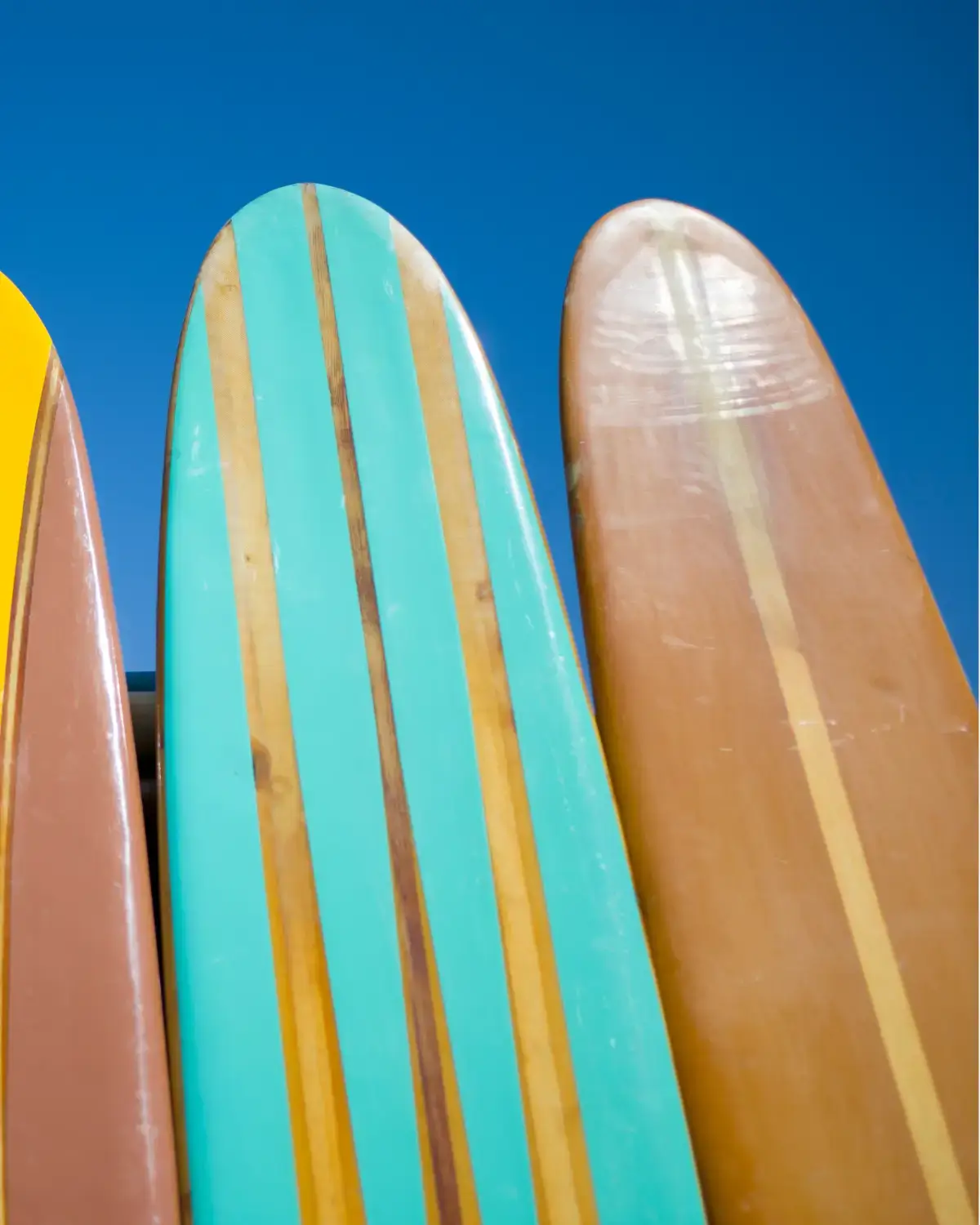 Gear Marketplace - Buy and Sell Surf Essentials | WB Live Surf
