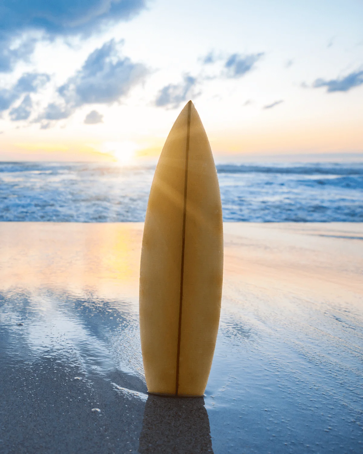 Gear Marketplace - Buy and Sell Surf Essentials | WB Live Surf