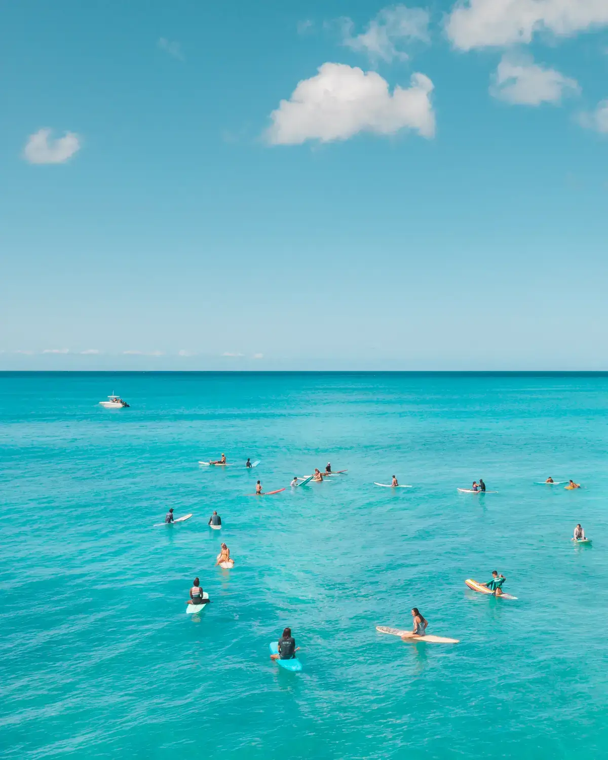 Gear Marketplace - Buy and Sell Surf Essentials | WB Live Surf